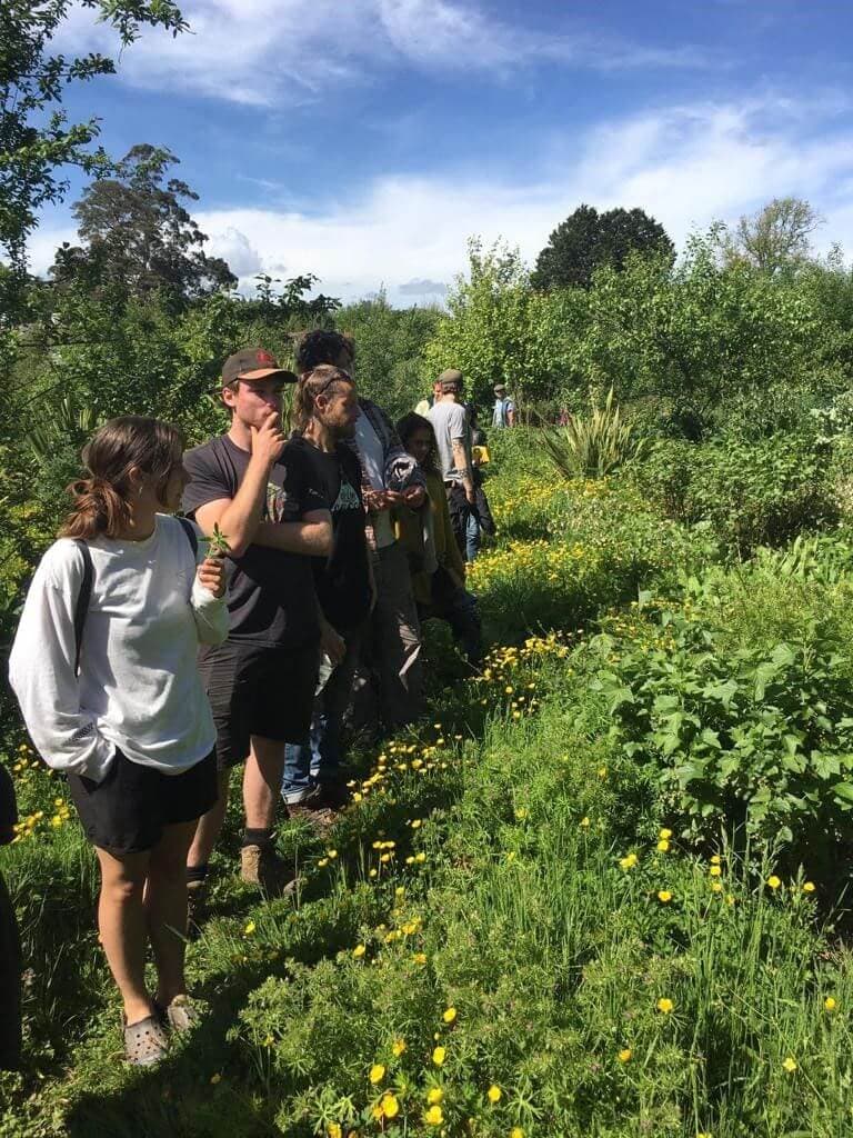 Devon Environment Foundation